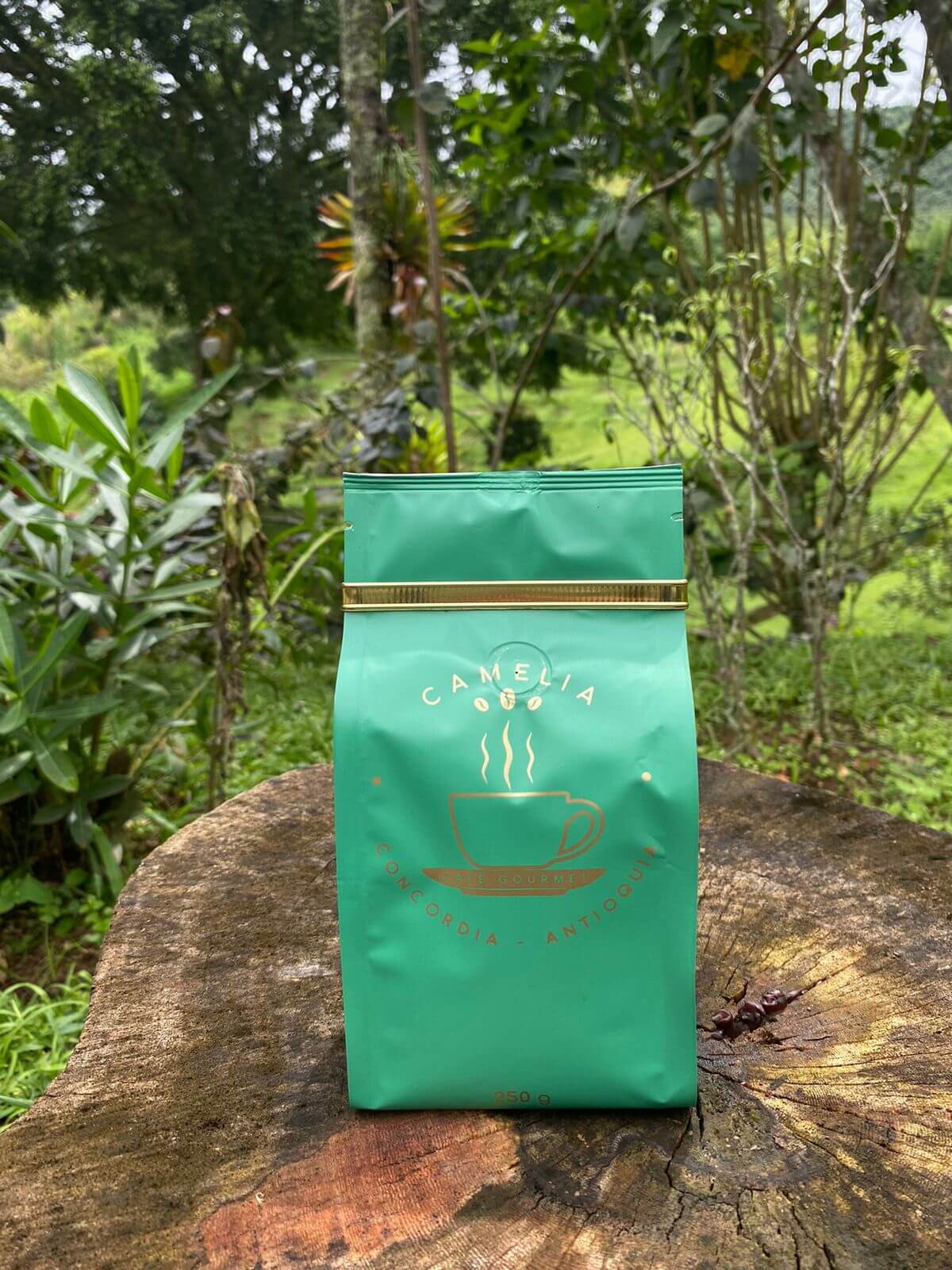 COMPRAR Café Especial Variedad Catimor - La Camelia 250g ⭐⭐⭐⭐⭐ – RASGOS